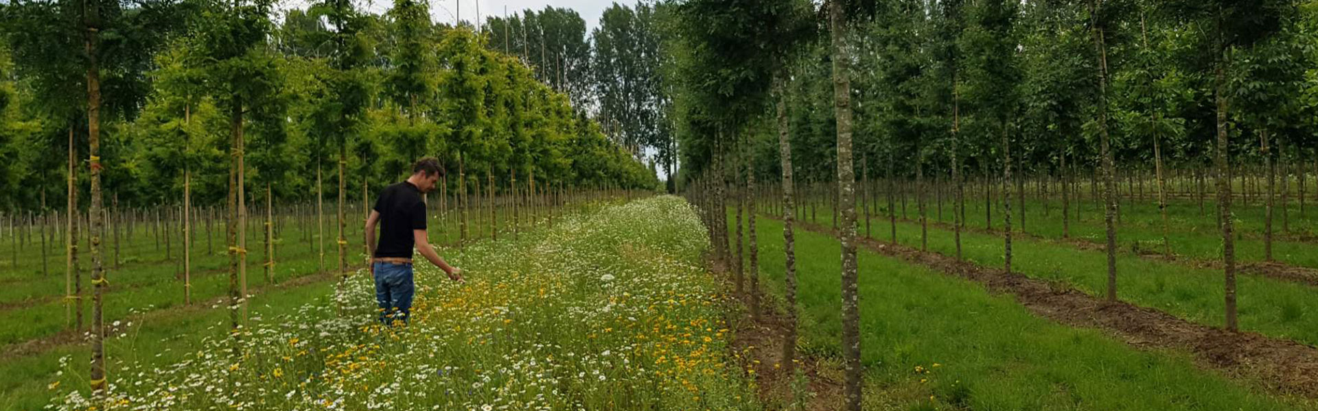 Keurmerken en certificaten