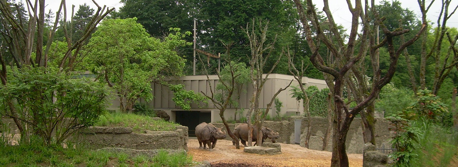 Zoo - Basel