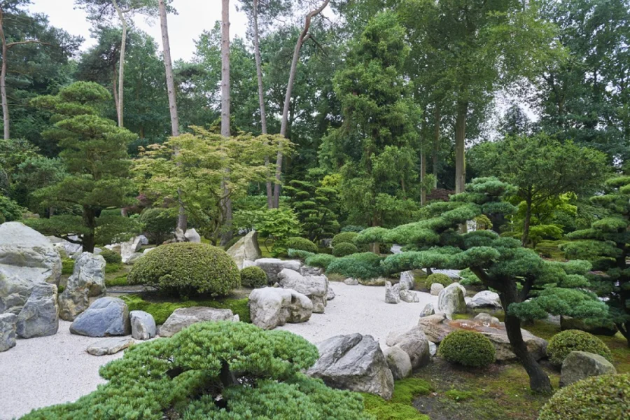 Japanse tuin