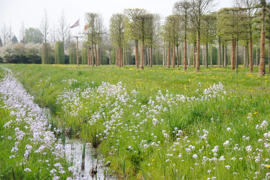 Natuur regelt zelf veel gewasbescherming