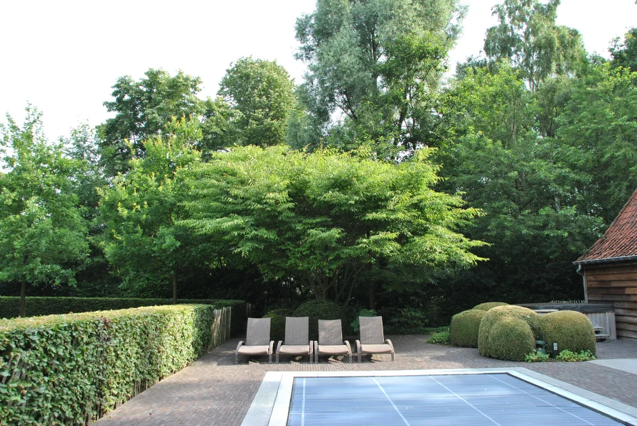 Exclusieve bomen voor privétuinen