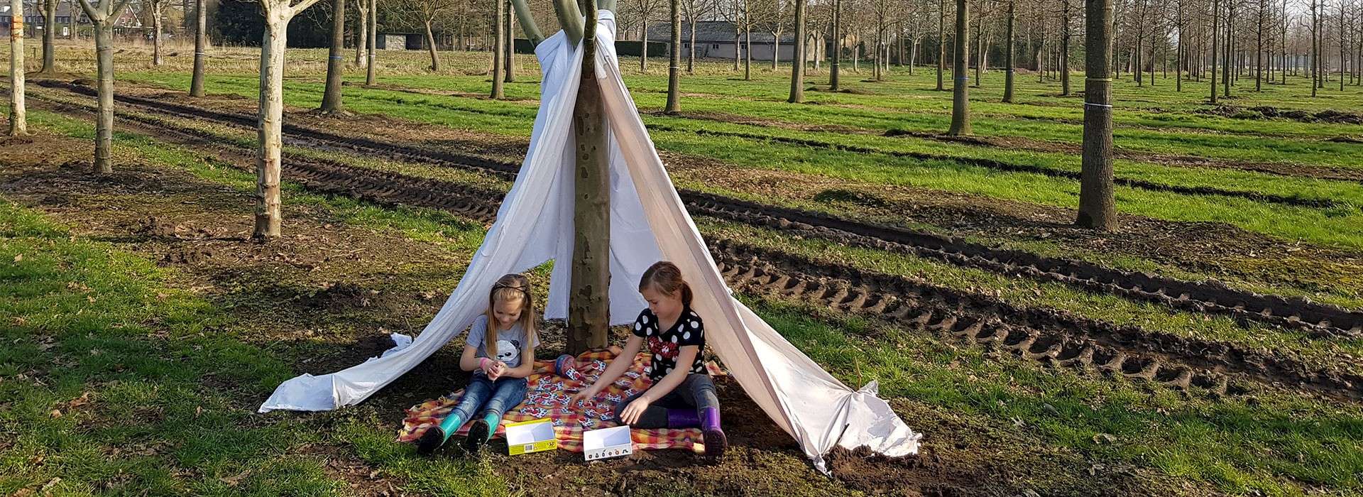 Bomen voor speelpleinen